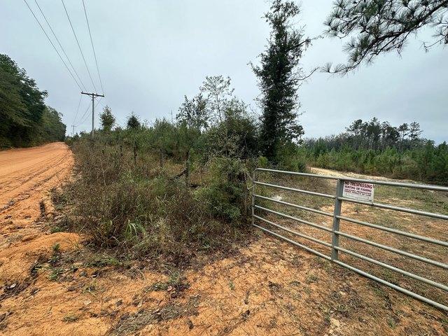 B and D2 Millside Rd, Laurel Hill, FL 32567