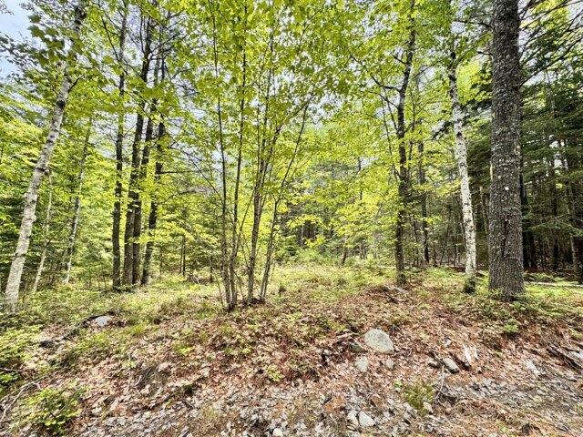 b Back Pasture Ln, Blue Hill, Plot For Sale