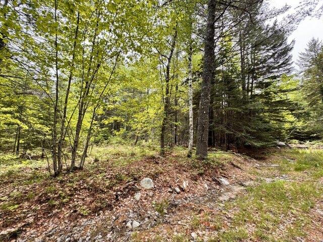 b Back Pasture Ln, Blue Hill, Plot For Sale
