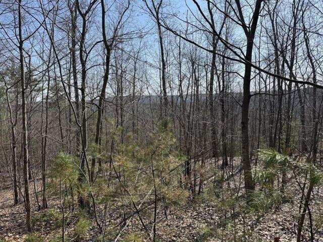 B Brimfield Rd, Warren, Plot For Sale