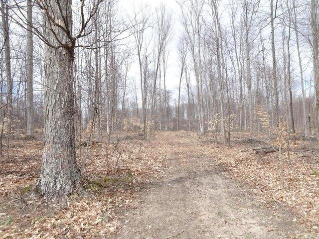 B Chief Rd, Bear Lake, MI 49614