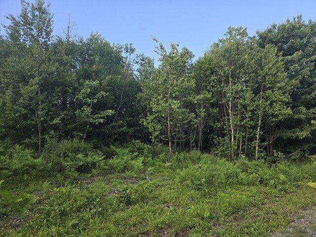 B/ Dixie Rd, Lubec, Plot For Sale