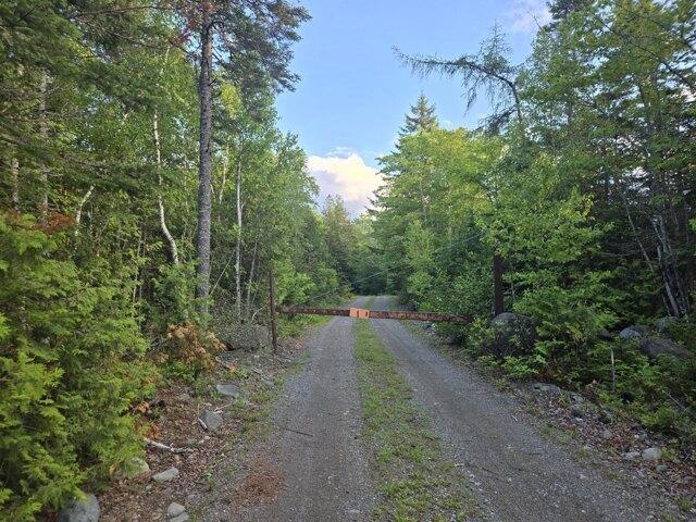 B/ Dixie Rd, Lubec, Plot For Sale