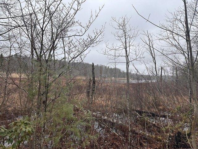 B E Otis Rd, Otis, Plot For Sale