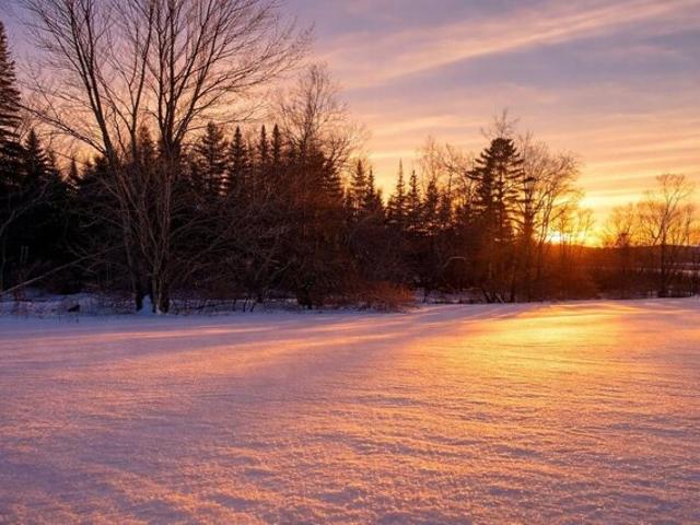 b Fitzgerald Rd Lot,morristown, Plot For Sale