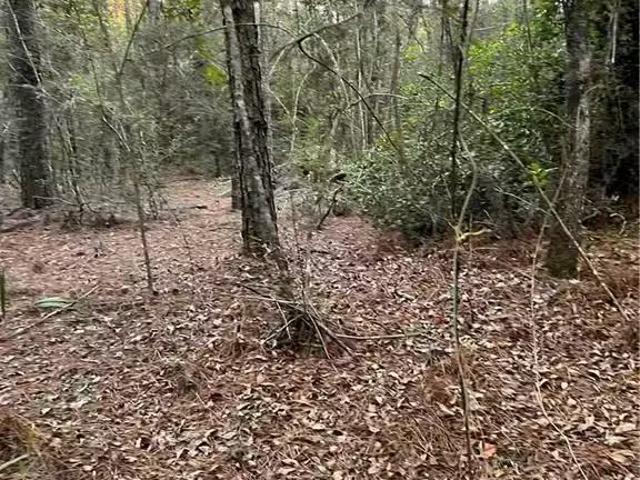 b GRIMSLEY ROAD, SATSUMA, AL 36572 Vacant Land For Sale MLS#.