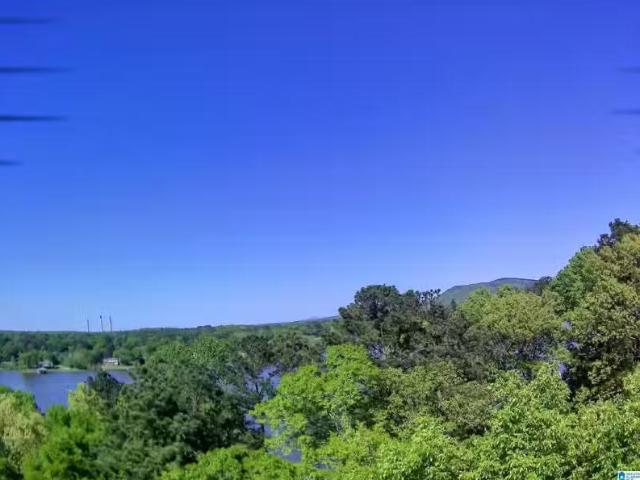b ILLINGSLEY DRIVE, SYLACAUGA, AL 35151 Vacant Land For Sale.