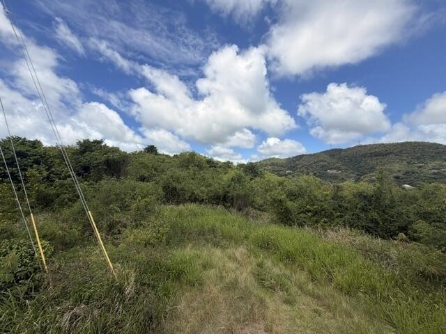 B La Grange We, Saint Croix, Plot For Sale