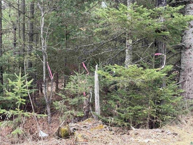 B Locust Rd, Duluth, MN 55803