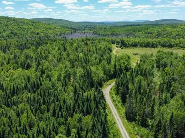 B Lookout Ln, Springfield, Plot For Sale