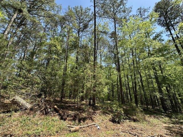 B Par Pl L, Mccormick, Plot For Sale