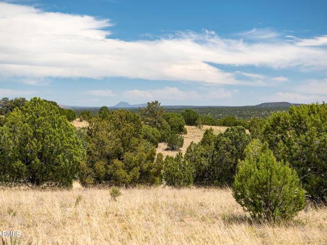 B Pine Ridge road # 50