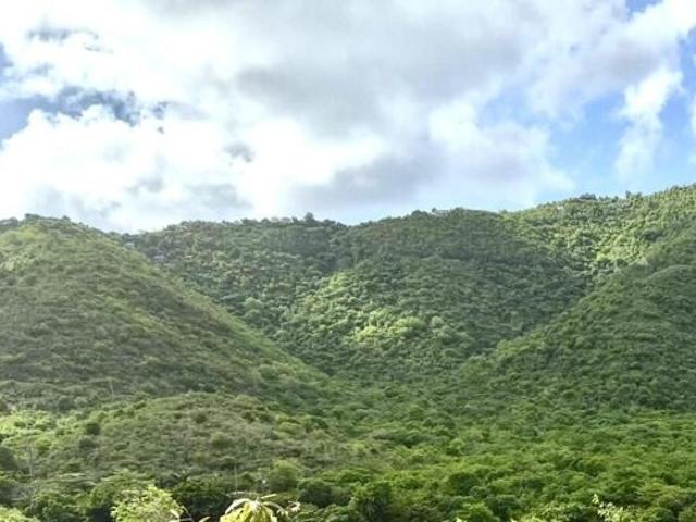 b Rem Carolina, Saint John, Plot For Sale