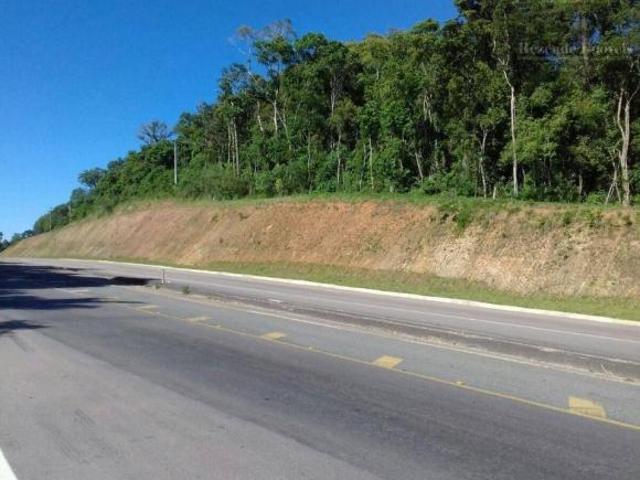 B Terreno à venda, 80000 m² por R$ 3.200.000 Fazenda Rio Grande Fazenda Rio Grande/PR