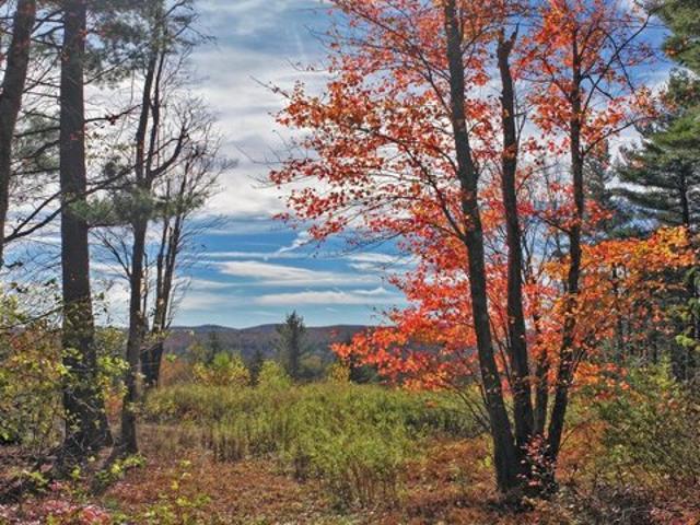 B Washington Mountain Rd, Washington, Plot For Sale