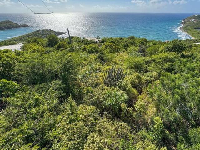 B Water Is # Ss, Saint Thomas, Plot For Sale