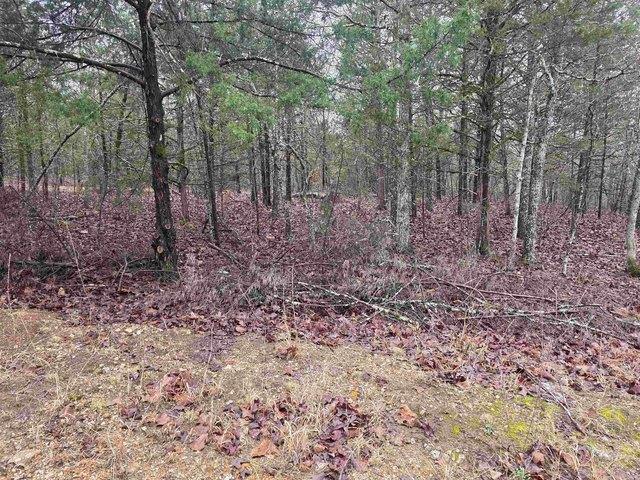 B 2 Gettysburg Dr L 86,87, Cherokee Village, AR 72529