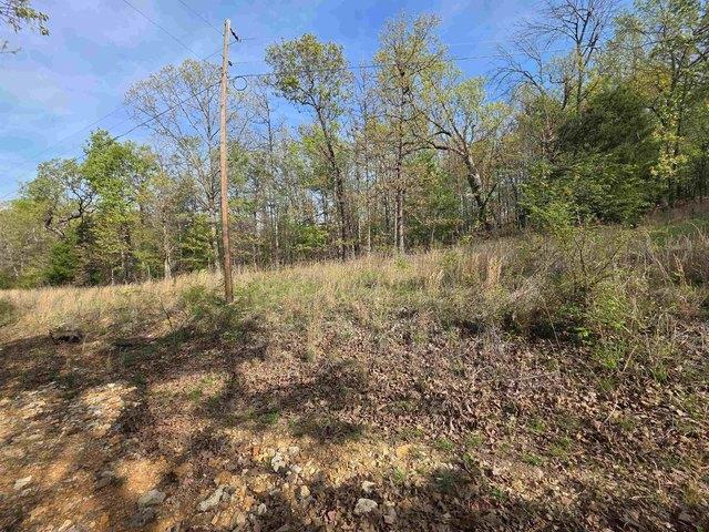 B 2 Rocky Top Trl L 10, Ozark Acres, AR 72482