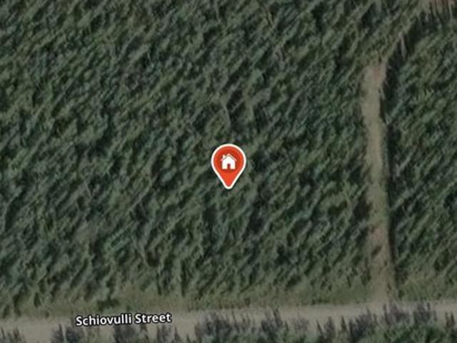 B 3 # L25, Asls 79 134 Tok, AK 99780