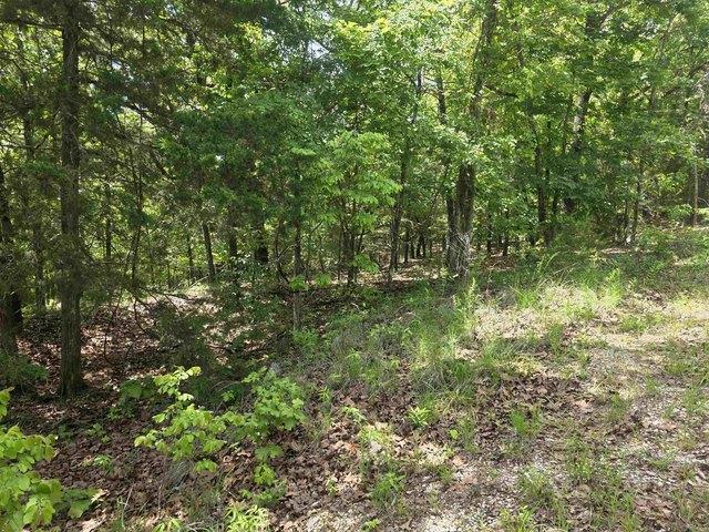 B 4 Topez Dr L 39, Cherokee Village, AR 72529