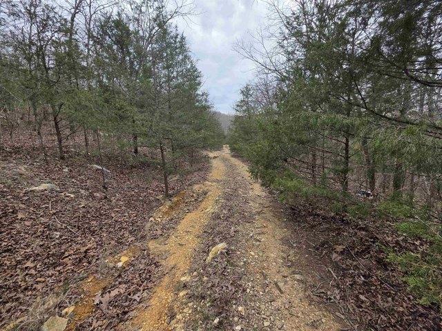 B 5 Tom Lee Rd L 24, Hardy, AR 72542