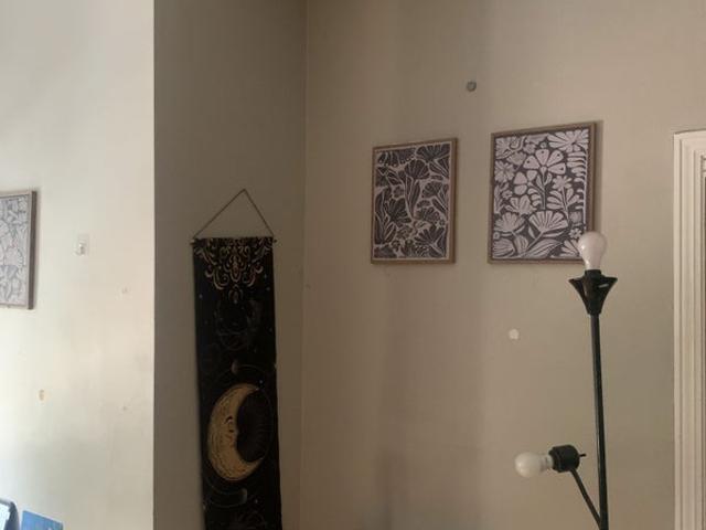 BC/BU August Sublet /Furnished/ Brighton close T