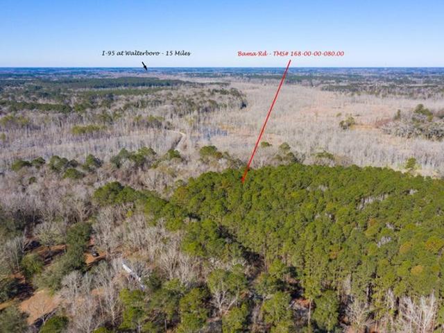 Bama Rd, Cottageville, SC 29435