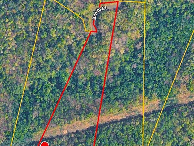 Bambi Ct, Beaverdam, VA 23015 | MLS #VAHA2001