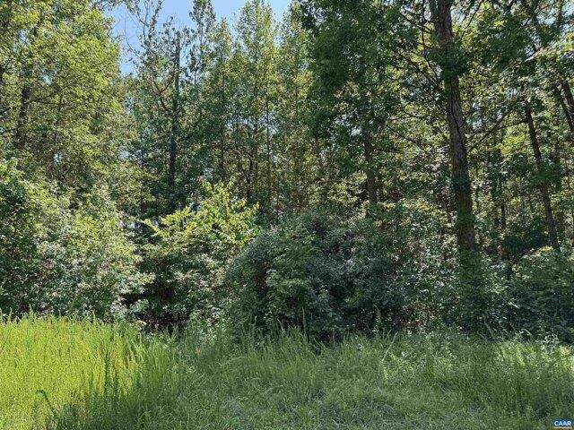 Bambi Ct Lot,beaverdam, Plot For Sale