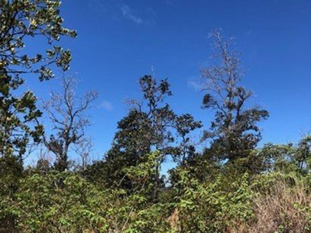 Bamboo Ln, Ocean View, HI 96737