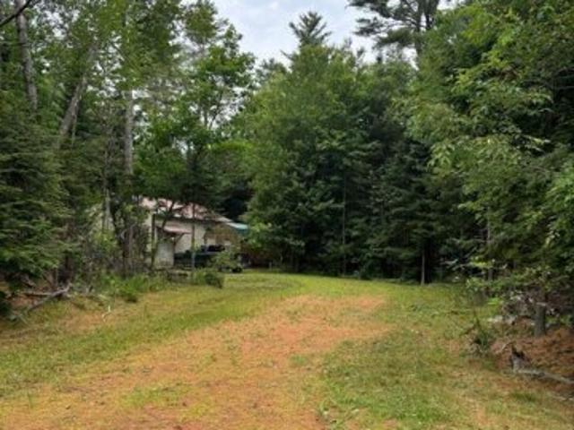 Bangor Rd Lot, Troy, Plot For Sale