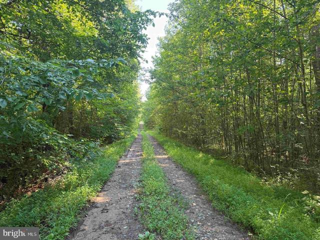 Bannister Town Rd, Louisa, VA 23093 | MLS #VALA2008
