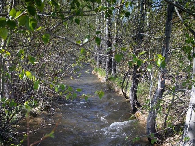 Bannock Cir Lot 4, Red Lodge, MT 59068