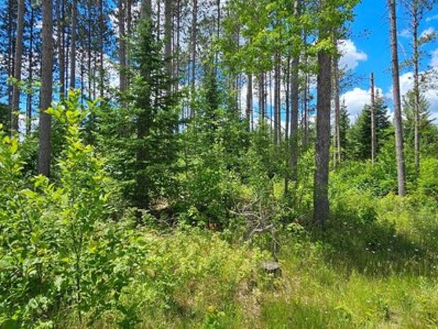 Baade Rd Lot 3, Monico, WI 54501