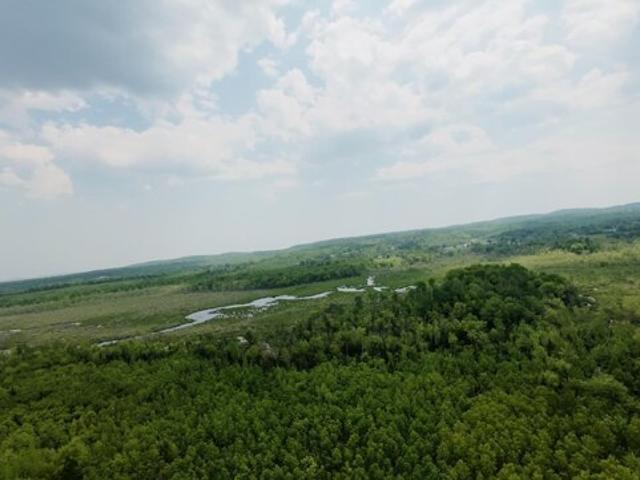 Babcock Rd, Newburgh, Plot For Sale