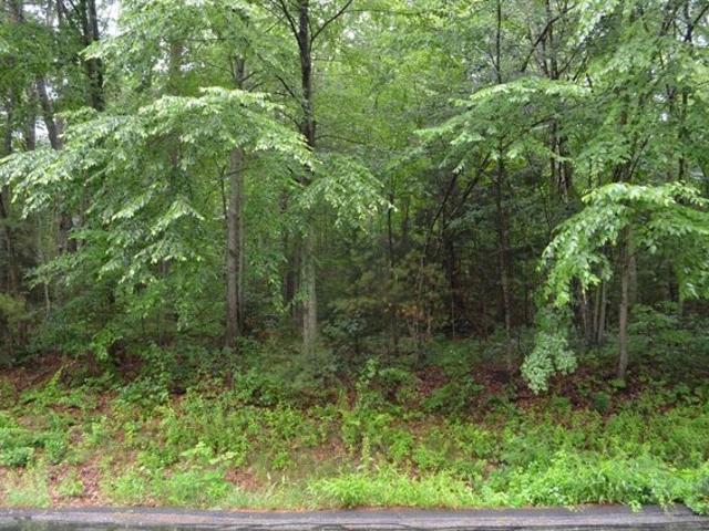 Babcock Tavern Rd Lot,ware, Plot For Sale