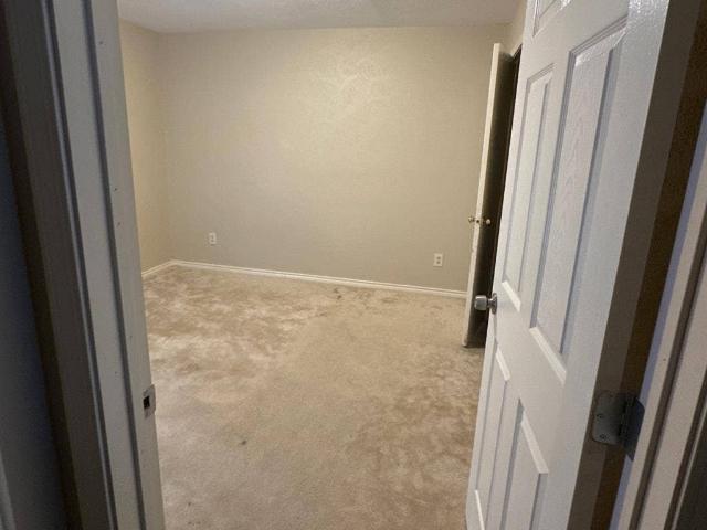 Bachelor house