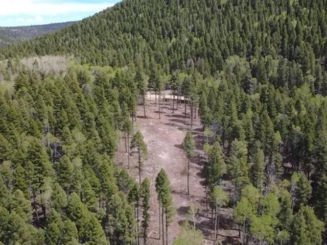 Back Basin Rd Lot 14, Angel Fire, NM 87710