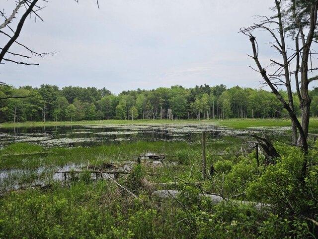 Back Eighty Rd, Boothbay, Plot For Sale