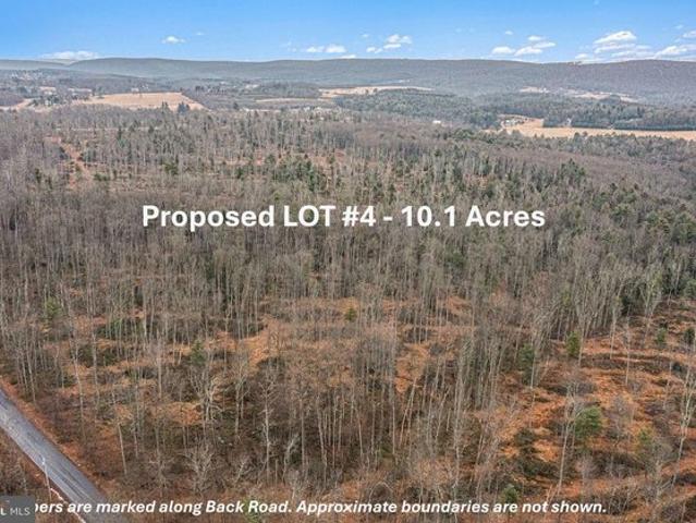 Back Rd S Lot 4, Barnesville, PA 18214