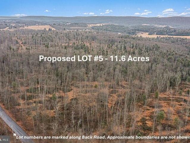 Back Rd S Lot 5, Barnesville, PA 18214
