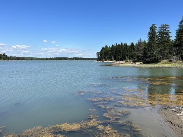 Back Shore Rd, Steuben, Home For Sale