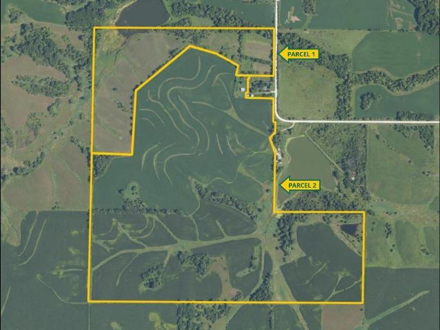 Badger Creek Road