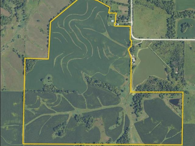 Badger Creek Road