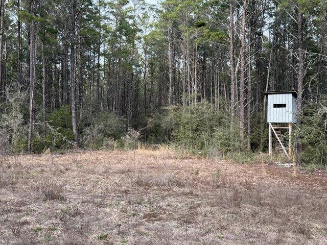 Badger Dr, Crestview, FL 32539