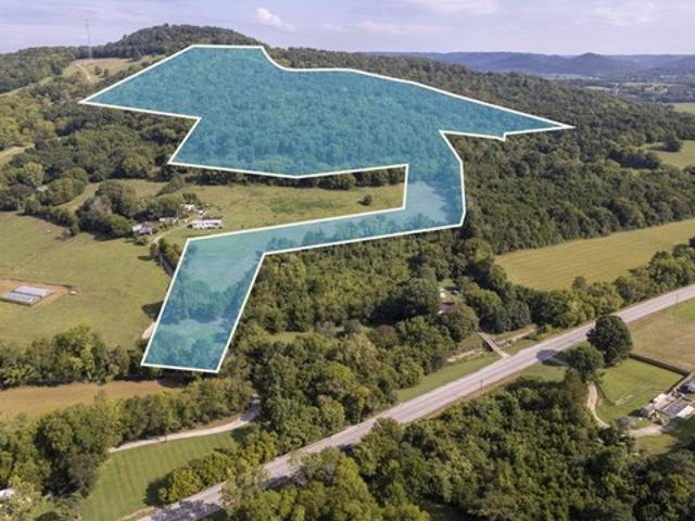 Badger Ln, Carthage, TN 37030