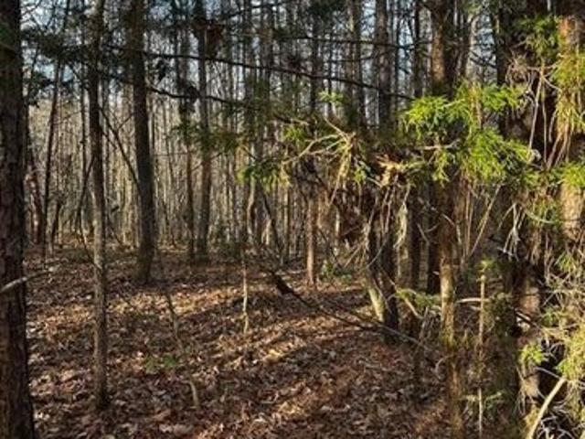 Bagwell Dr, Scottsburg, VA 24589