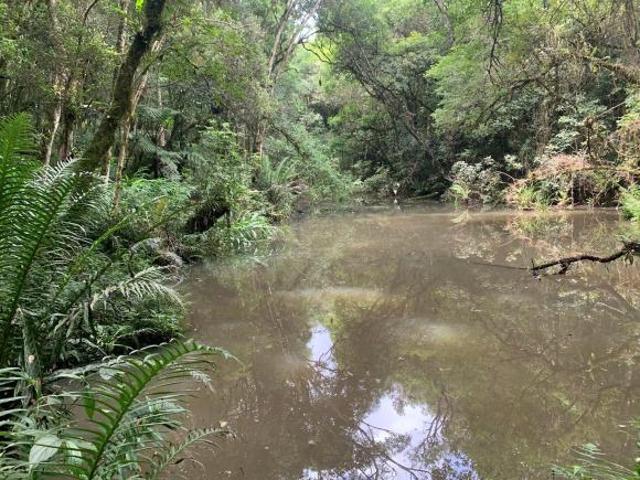 BAIXOU O VALOR ! chácara à venda, Campestre da Faxina, São José dos Pinhais, PR