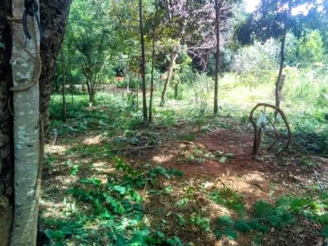 BAIXOU O PREÇO EXCELENTE ÁREA 1.408m2 PROXIMO MOINHO ALTO PARAÍSO DE GOIAS