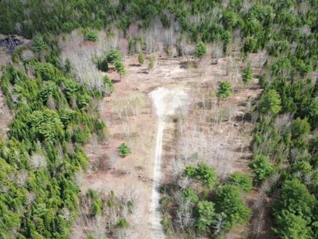 Bailey Mountain Rd Lot,franklin, Plot For Sale